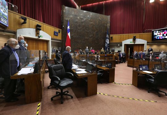 Rinden homenaje tras partida de destacada artista plástica Roser Bru | Senado República de Chile